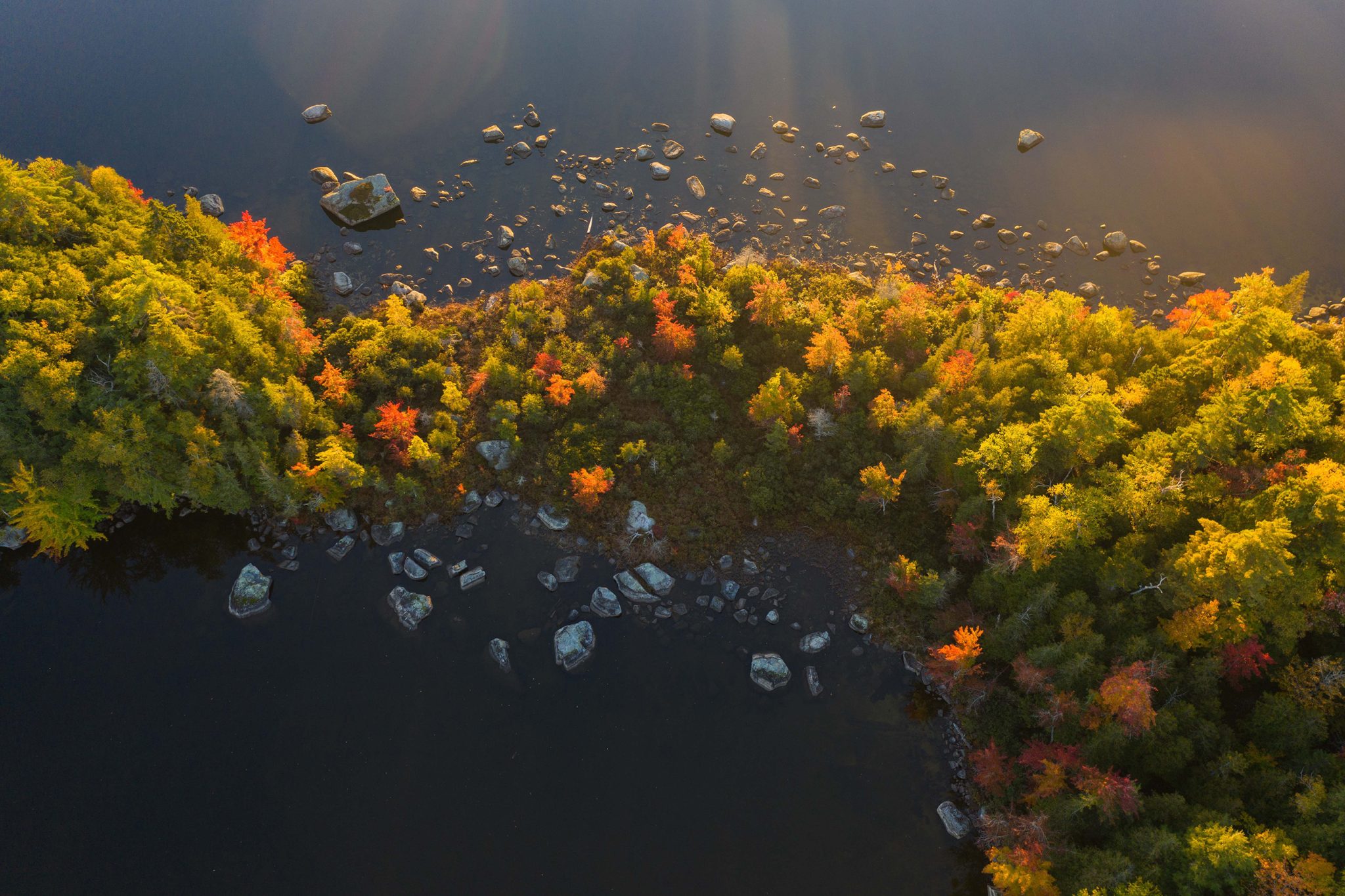 ANCA | Events - ANCA