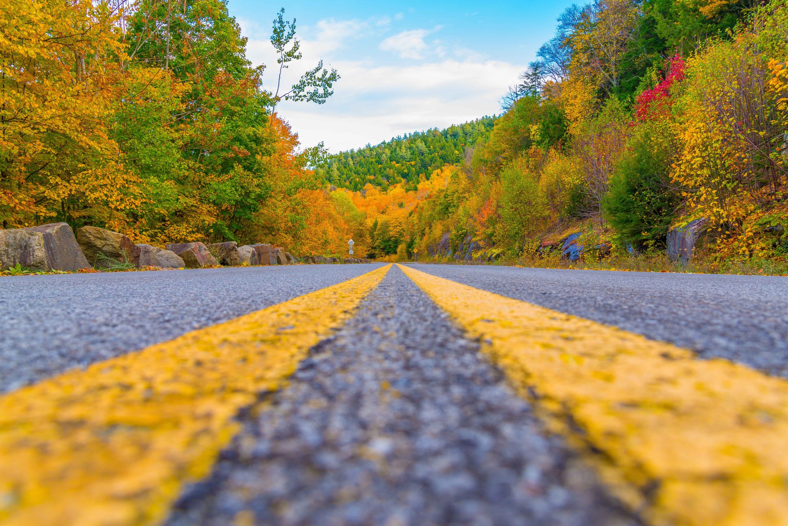 ANCA | North Guide - ANCA